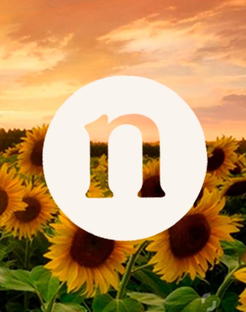 Nunat - Nunat Gourmet Snacks